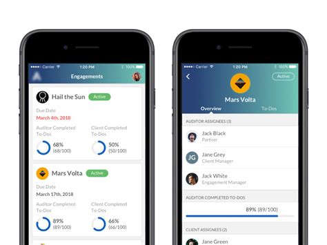 Audit App By Dima Boiko On Dribbble