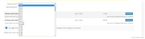 【数据库基础】mysql下载安装及配置mysql Bin配置 Csdn博客 【数据库基础】mysql下载安装及配置mysql Bin配置 Csdn博客