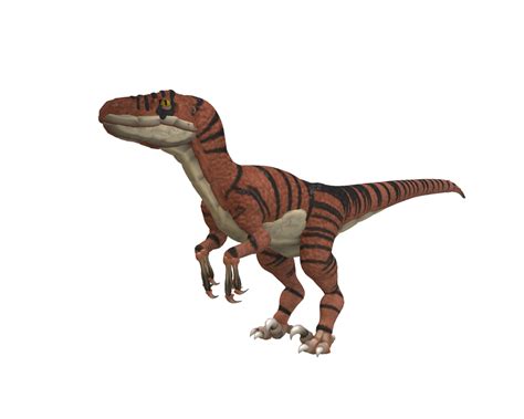 Velociraptor The Lost World Jurassic Park By Darckjack222 On Deviantart