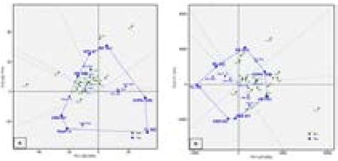polygon view of gge biplot based on the symmetrical scaling for which