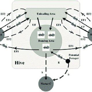 Artificial Bee Colony Download Scientific Diagram