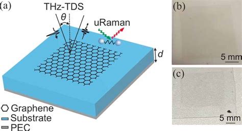 A Schematic Representation Of The Graphene Samples And The Download Scientific Diagram