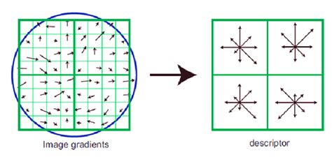 Illustration Of The Extraction Of Hog Features Download Scientific Diagram