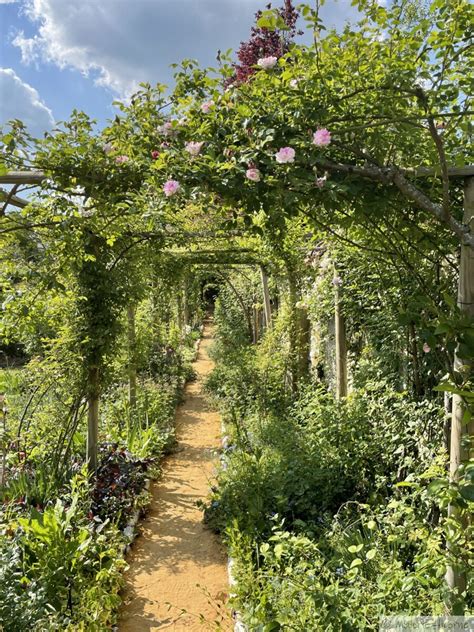 ♥️ ♥️ Focus Sur Le Rosier Breeze Hill Les Jardins De Malorie