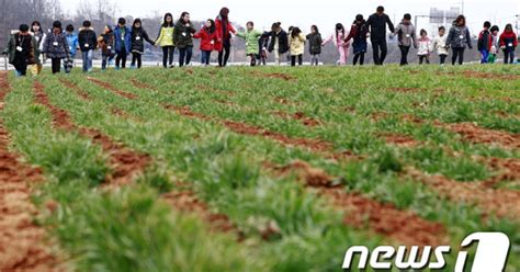 손에 손 잡고 보리밟기