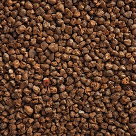 Exploring Dry Biomass Characteristics And Applications