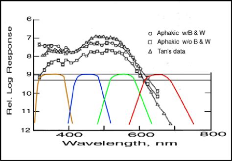 12 1 The Tetrachromatic Spectral Performance Of The Human Retina Data