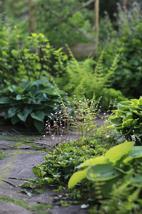 chadeyka — лытдыбр — LiveJournal | Sloped garden, Magical garden, Dream ...