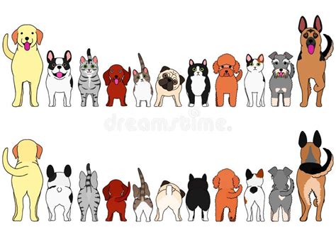 Standing Cats Front And Back Border Set Stock Vector Illustration Of
