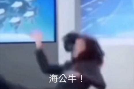 你永远叫不醒一个装睡的人是什么意思 你永远叫不醒一个装睡的人的意思 单词乎