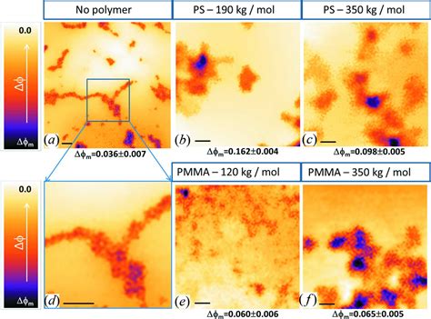 Iucr X Ray Ptychographic Mode Of Self Assembled Cdse Cds Octapod Shaped Nanocrystals In Thick
