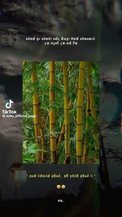 අනේ රත්තරන් අයියේ අපි ඉවරයි Youtube