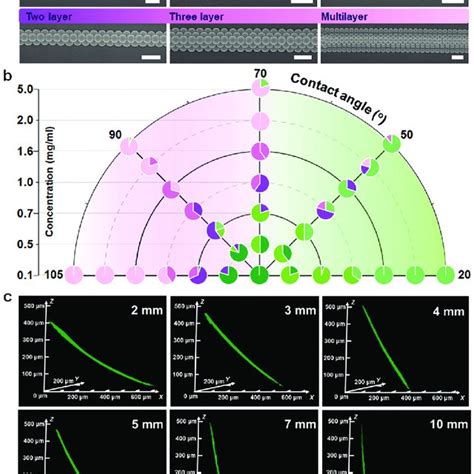 Dependency Map Of Np Assembled Architectures And Characterization Of Download Scientific
