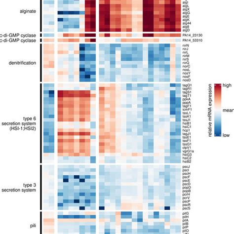 Heatmap Of Relative Mrna Expression Values Of Selected Genes The Left Download Scientific