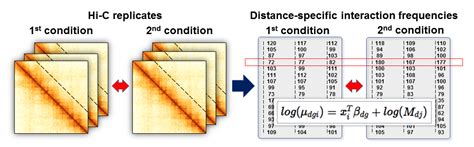 Multihiccompare Vignette • Multihiccompare