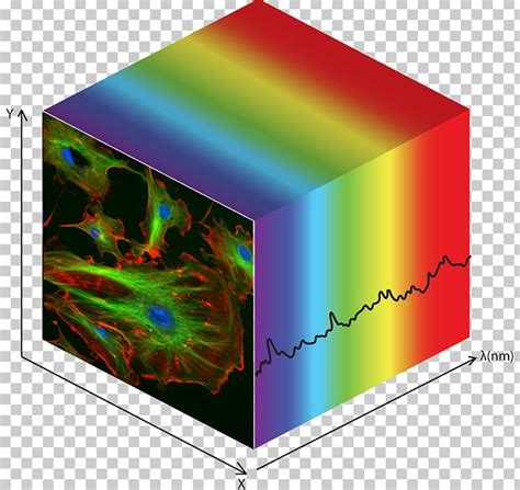 Hyperspectral Imaging Data Cube Photon Etc Market Analysis