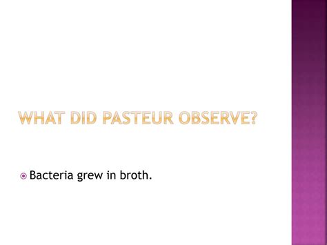 Chapter 1 Review What Is Life Ppt Download