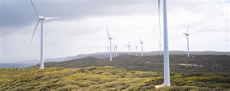 Leading Decarbonisation And Training Future Generations Peer Works