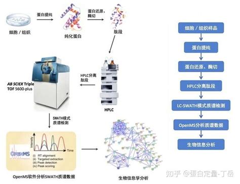蛋白质组学中的数据独立采集（dia）数据分析方法 知乎