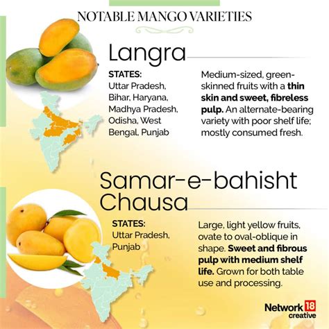 Top Mango Varieties Of India From Alphonso To Langda Firstpost