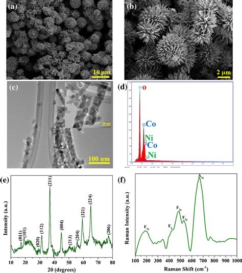 SEM Micrographs At A Low Magnification And B High Magnification And C Download Scientific
