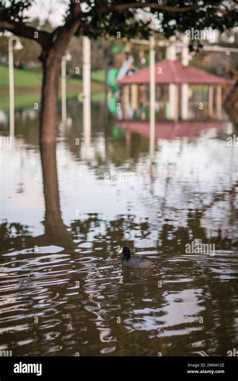 Lower Playground And Large Pond At Polliwog Park Flooded By The Rain In