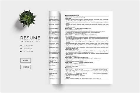 技术研究计算机视觉方向简历（面试加分篇） 幻主简历