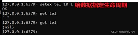 redis企业应用入门看这篇就够了！ 公司常用的redis要学什么 csdn博客