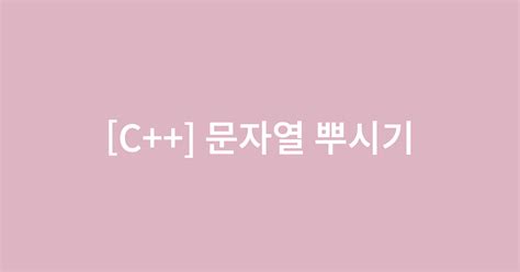 C String 뿌시기