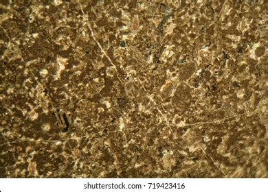 Petrographic Microscope Images Stock Photos Vectors Shutterstock