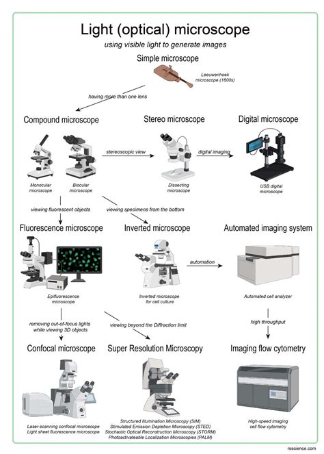 What Is Light Microscope Range At Kenneth Oleary Blog