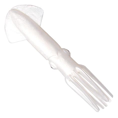 Pearl White Sr Squid Fathom Offshore