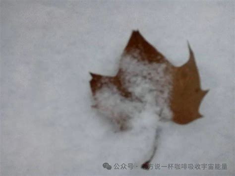 任正非《华为的冬天》：安安静静地应对外界议论星火智库