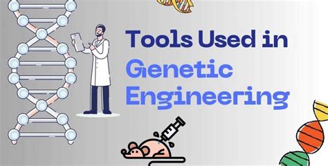 Genetic Engineering Definition Applications History Evolution Principles Tools And Techniques