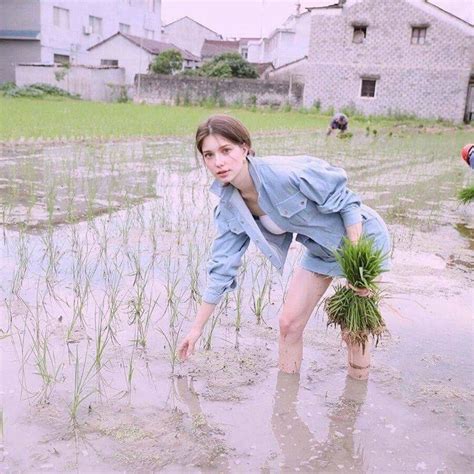 우크라이나 농촌풍경 인스티즈 Instiz 인티포털 카테고리