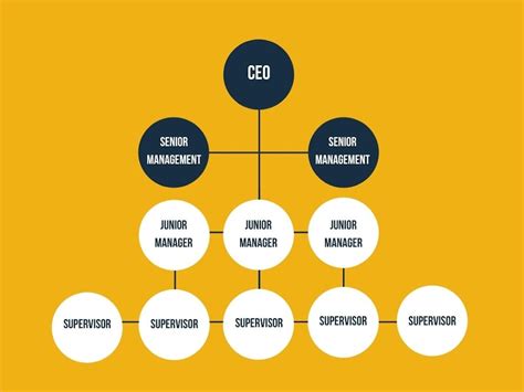 Hierarchical Structure Definitions And Examples Hierarchical Structure Definitions And Examples