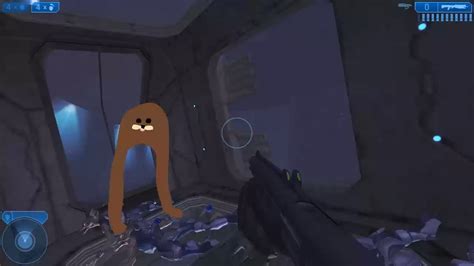 Halo R Gondola