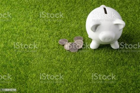 분기 동전 잔디 배경에 돼지 저금통 비용 절감 개념 저장 위에서 보기 개념에 대한 스톡 사진 및 기타 이미지 개념 경제 교육 Istock