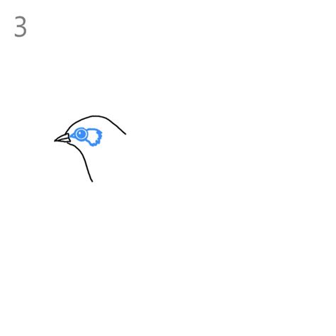 How To Draw A Mockingbird Step By Step Easy Drawing Guides Drawing Howtos