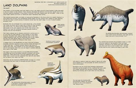 Alphynixs Terrestrial Dolphins Using Ideas By Tribbetherium