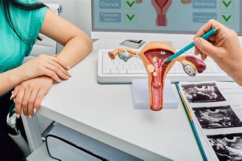 Endometrium Fungsi Dan Gangguan Penyakitnya