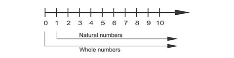 Premium Vector Integers On Number Line With Positive Numbers And Zero Math Chart For Addition