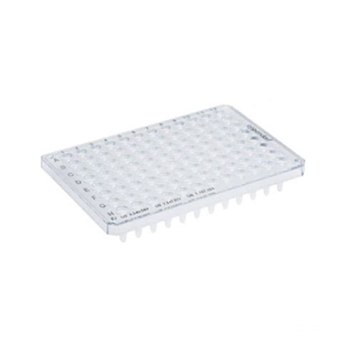 Eppendorf 96 Well Plate Dimensions At Megan Cisneros Blog