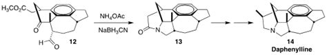 Alkaloid Synthesis Aristoquinoline Reber Hinckdentine A Su Hong Madangamine E Hamlin