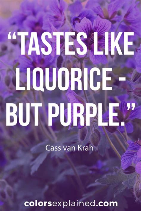 64 Quotes About Purple To Enlighten Your Soul 2026 • Colors Explained