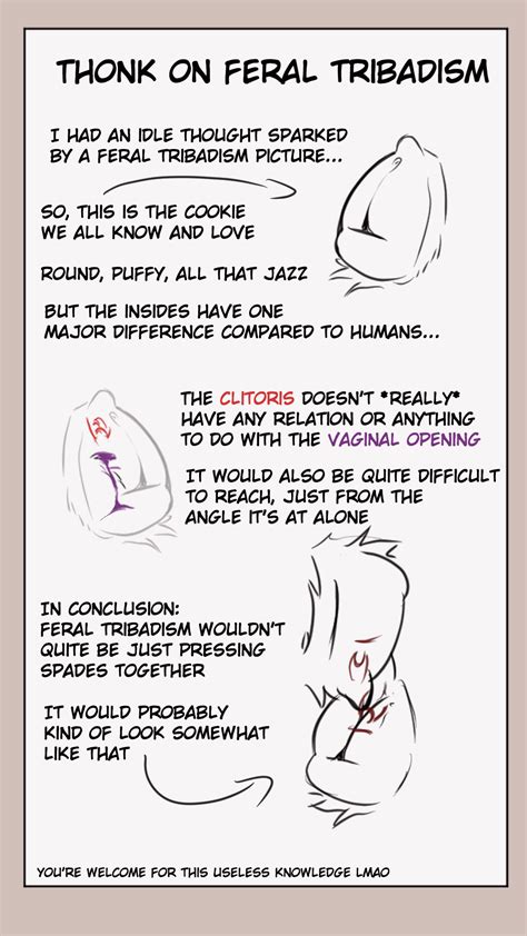 Rule 34 Animal Genitalia Animal Pussy Animated Canine Pussy Digital