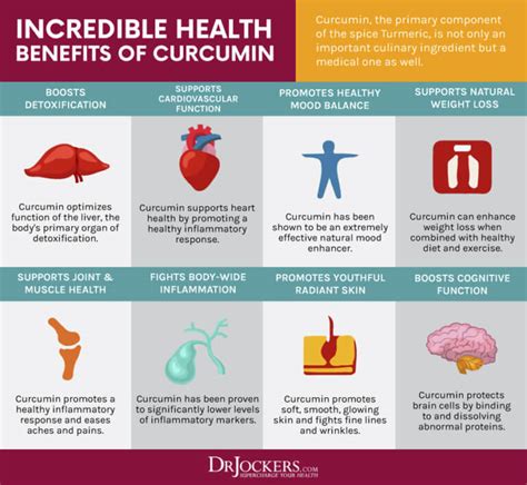 Mitochondrial Health Ways To Improve Cellular Energy