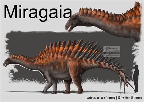 Which Version Of Miragaia Is More Accurate R Paleontology