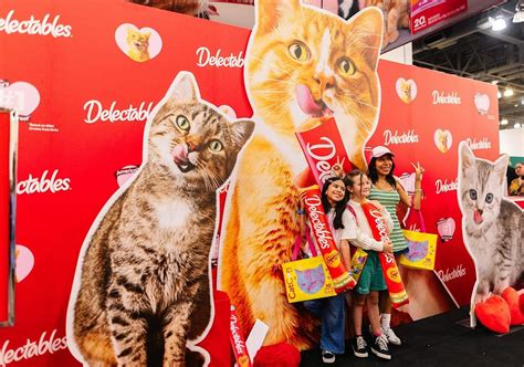 Catcon 2026 Tickets Saturday October 10 Sunday October 11 Eventbrite