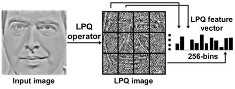 9 Lpq Feature Vector Computation Download Scientific Diagram
